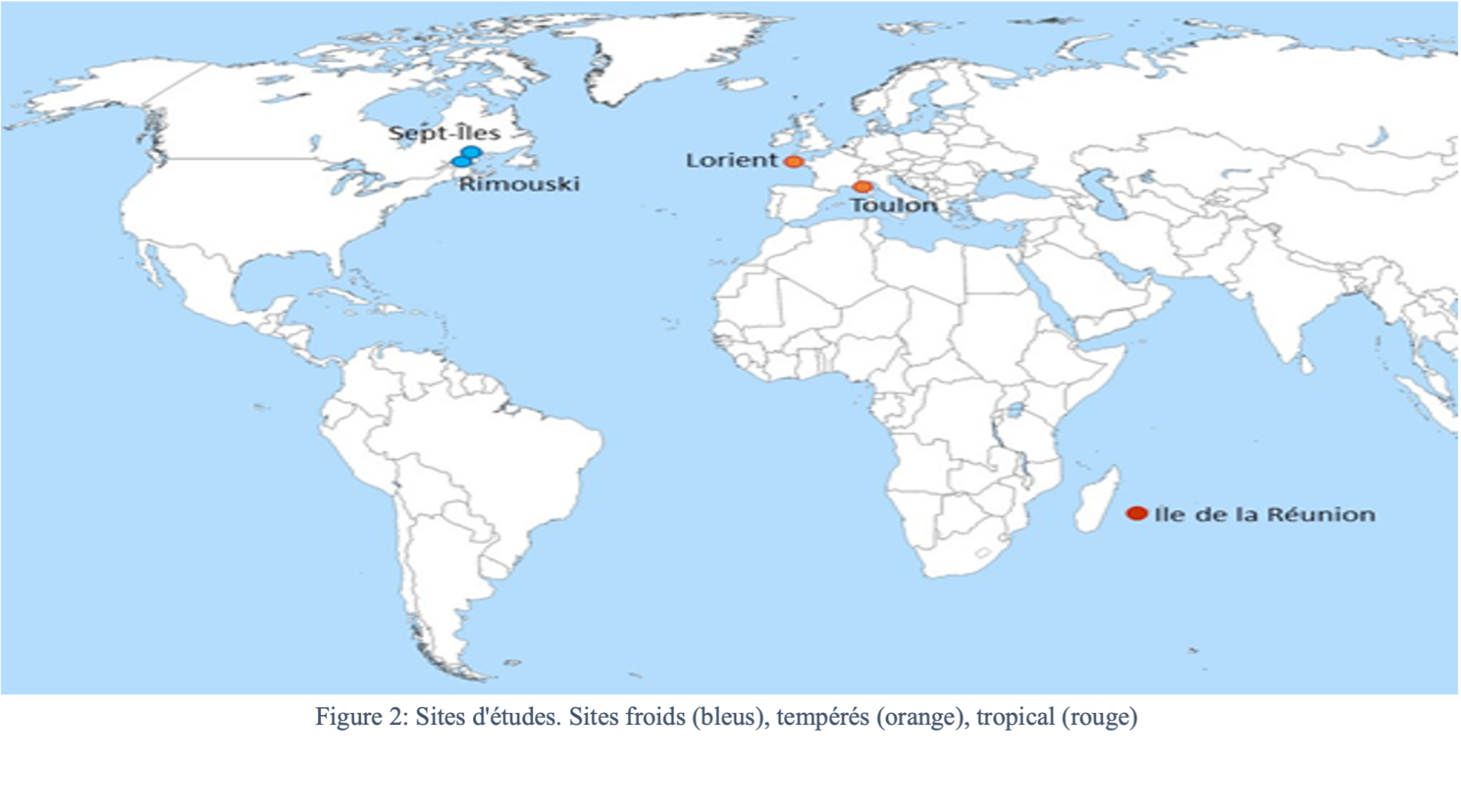 Projet Paints – Projet PAINTS